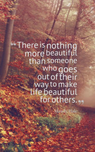 65 Inspirational Mandy Hale Quotes - Planet of Success