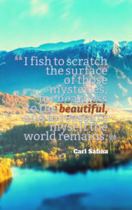 60 Inspirational Fishing Quotes - Planet of Success