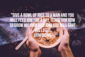 115 Insightful Teacher Quotes about the Power of Education