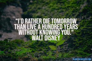 127 Cute Short Quotes About Love, Life, and Happiness