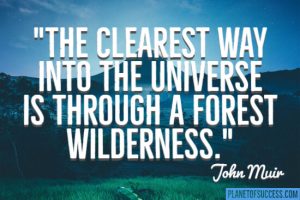 124 Breathtaking Nature Quotes [That Celebrate Earth]